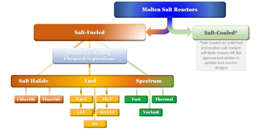 DOE Molten Salt Reactor Program - Gateway for Accelerated Innovation in ...